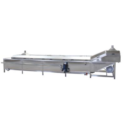 China SUS304 Stainless Steel Vegetable Blanching Machine 2000kg/H 6000mm for sale