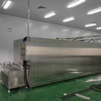 China IQF Food Freezing Machine 300kg/hr Seafood Shrimp French Fries Processing Plant for sale