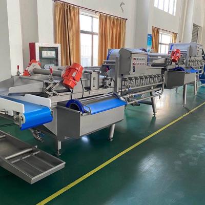 China SUS304 380V 2000kg/h Fruit Leaf Vegetable Washing Machine Automatic Cleaner for sale