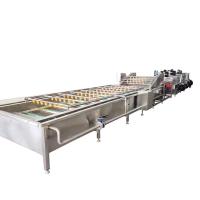 China Water Recycling Leafy Vegetable Washing Machine 400-800 kg/h Capacity for sale