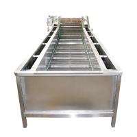 China Customized 500kg 1500kg/H Fruit Vegetable Washing Machine Air Bubble Cleaner for sale