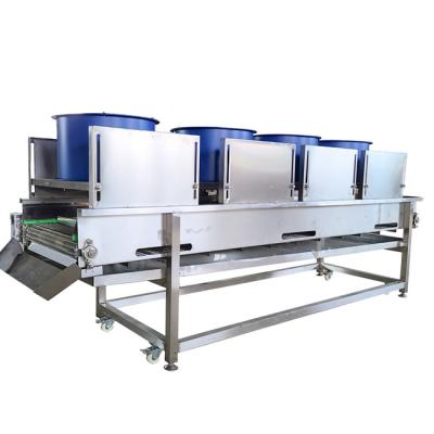 China 1000kg/h Onion Fruit Vegetable Dehydration Machine Low Consumption Air Drying for sale