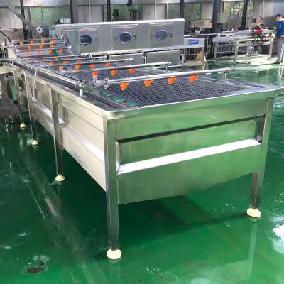 China SUS304 Air Bubble Green Beans Corn Kernel Machine 500kg/H 3.6kw for sale