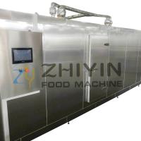 China Industrial IQF Fluidized Food Freezing Machine 100kg/h 380V Stainless Steel for sale