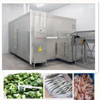 China 500kg/h Tunnel Freezer Machine for French Fries Shrimp Seafood SUS304 Stainless Steel for sale
