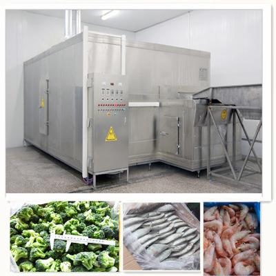 China 500kg/h Tunnel Freezer Machine for French Fries Shrimp Seafood SUS304 Stainless Steel for sale