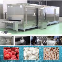 China Continuous Tunnel Freezer for French Fries Seafood 300kg/h 40kW for sale