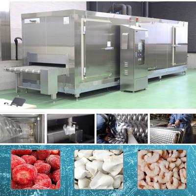 China Continuous Tunnel Freezer for French Fries Seafood 300kg/h 40kW for sale