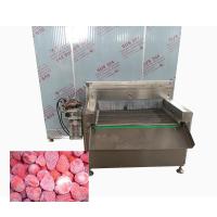 China SUS304 Industrial IQF Tunnel Freezer 1500kg/h Fish Food Freezing Machine for sale