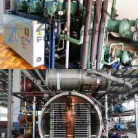 China Industrial Vacuum Freeze Dryer 10m² Fruit Vegetable Slices Food Freeze Drying Equipment for sale