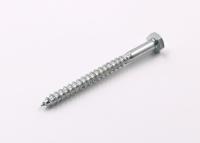 China Hex Head Mild Steel Wood Screws DIN571 Zinc Plated Blue White 4mm-20mm 10mm-200mm for sale