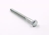 China Hex Head Mild Steel Wood Screws DIN571 Zinc Plated Blue White 4mm-20mm 10mm-200mm for sale