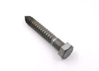 China 5 Inch Long Steel Hex Lag Bolts 3/4 Inch Nominal Size for Construction Structures for sale