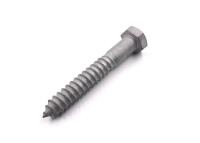China Hot Dip Galvanized DIN571 Hex Wood Screws 20x125mm Multi Purpose Fasteners for sale