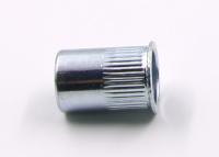 China Zinc Plated Mild Steel Small Flat Head Rivet Nuts M6 with Outside Knurls for sale