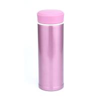 China Purple 350ml 12 Oz Stainless Steel Vacuum Flask for sale