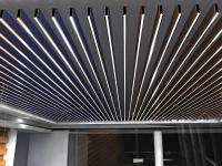 China Outdoor Aluminum Baffle Ceiling Profiles for Decoration Powder Coated Wooden Grain for sale