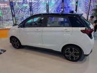 China YOUNG 400XT Electric Crossover SUV - 35kW Motor, 400km Range, 4-Seat Compact Vehicle with Fast Charging for sale