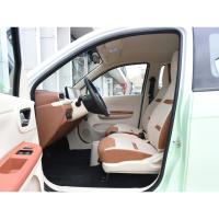 China Litter Tiger FEV2 Smart 2-Seater Electric Car - 30kW Motor, 215km Range, 100km/h Speed for sale