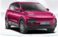 China Dayun Yuehu BG2 5-Seat Electric SUV - 3695mm Length, 300km Range, 35kW Motor with Vented Disc Brakes for sale