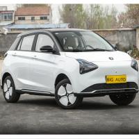 China Luxurious Interior High End Pure Electric Car Joy 01 Max. Speed 100 Km/h for sale