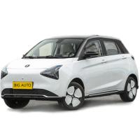 China Large Capacity Trunk High Speed Pure Electric Car Joy 01 Lang Range Car for sale