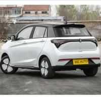 China Large Capacity Trunk High Speed Pure Electric Car Joy 01 Lang Range Car for sale