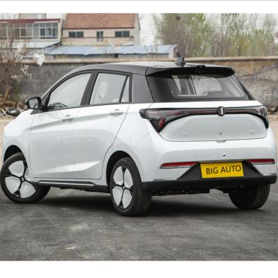 China Luxurious Interior High End Pure Electric Car Joy 01 Max. Speed 100 Km/h for sale
