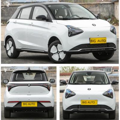 China CLTC Range Up To 335km High Speed Pure Electric Car Joy 01 High End Mini SUV for sale