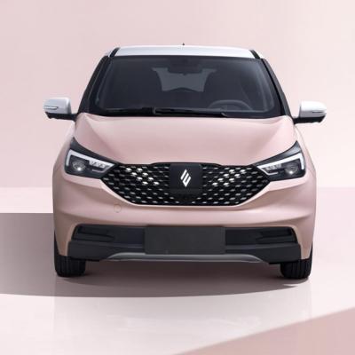 China High Safety Electric Car EV3 Max. Speed 100 Km/h Long Range Electric Car for sale
