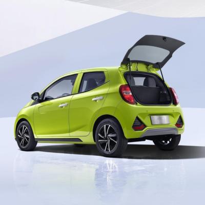 China Big Capacity Small Electric Car EV2 Support Household Electricity Charging for sale