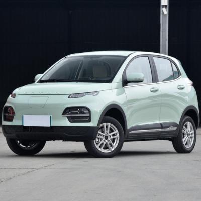 China 5 Seat Electric Car YUE HU Long Range High Speed Big Capacity Electric SUV for sale