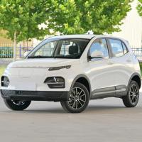 China 5 Seat Electric Car YUE HU Long Range High Speed Big Capacity Electric SUV for sale