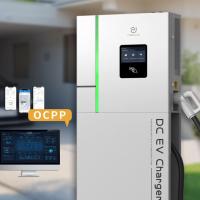 China 30kW 40kW 50kW DC Fast Charging Station for Electric Vehicles | 200-1000V Output | IP54 Rated for sale