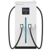 China 60kW-240kW DC Fast Charging Station with 96% Efficiency and Three Charging Methods for EV Fleets for sale
