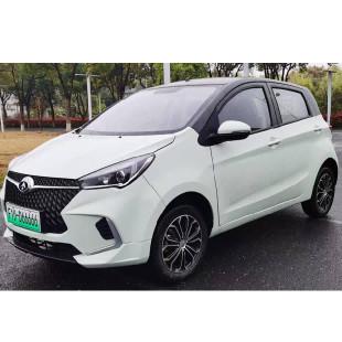 China Electric Hatchback F10 Supports Fast Charging with Five Seats Big Space for sale