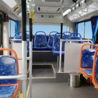 China 17-seat Pure Electric Bus with 127.74 Kilowatts Power and 6-8 Hours Charging Time Featuring IP68 Protection for sale