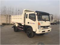 China 10 Ton Payload Light Duty Tipper Truck with 102KW Engine and 3800mm Cargo Body for Cargo Delivery Projects for sale