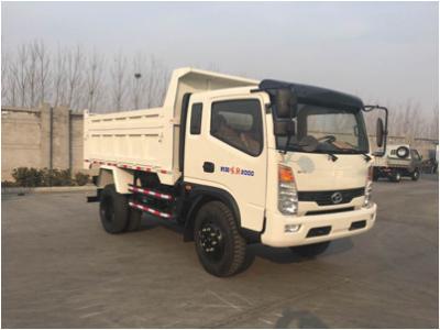 China 10 Ton Payload Light Duty Tipper Truck with 102KW Engine and 3800mm Cargo Body for Cargo Delivery Projects for sale