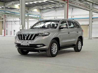 China Multi Purpose Gorgeous City SUV Car 4*2 Drive Gasoline Engine Fuel Saving for sale