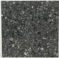 China Antibacterial Terrazzo Porcelain Floor Tiles 600x600mm 9mm Polished Matte Finish for sale