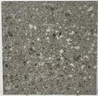 China Rustic Matte Terrazzo Tile Acid Resistant 600x600mm 800x800mm 600x1200mm for sale