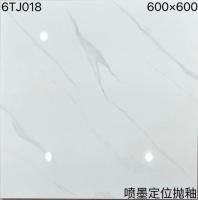 China Polished Porcelain Tile Low Water Absorption High Abrasion Resistance 600x600mm for sale