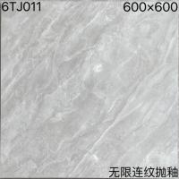 China Polished Porcelain Tiles 600x600mm Low Water Absorption High Hardness for sale