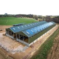 China Prefab Steel Poultry Shed Light Structure Q235B Q355B for sale