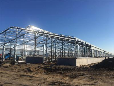 China Q235B Prefabricated Steel Structure Cattle Farm Building for sale