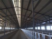 China Prefabricated Insulation Steel Cowshed with Sandwich Panel for sale