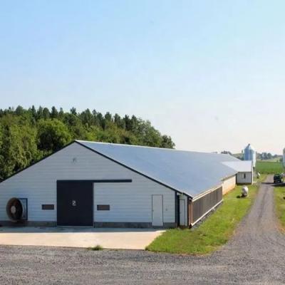 China Durable Steel Poultry Houses Customizable Effective Easy Assemble For Modern Farms for sale