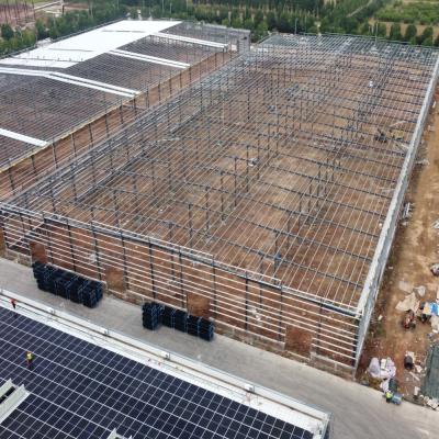 China Prefab Steel Structure Warehouse with Light Steel Frame for sale