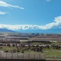 China Prefab Galvanized Steel Structure Warehouse with 50-Year Lifespan for sale